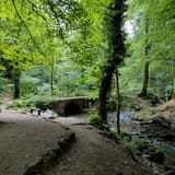Wepre Park Circular, Flintshire, Wales - 498 Reviews, Map | AllTrails