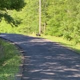Burroughs Range Trail (Wittenberg, Cornell, Slide Trail), New York ...