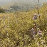 Corral Canyon Loop, California - 1,879 Reviews, Map | AllTrails