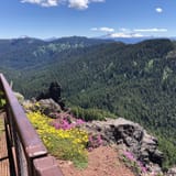 Iron Mountain Trail, Oregon - 639 Reviews, Map | AllTrails