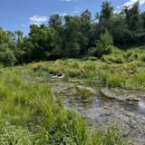 Cascade Springs Interpretive Trail, Utah - 533 Reviews, Map | AllTrails