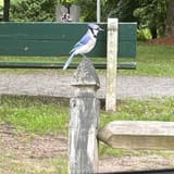 Cumberland Monastery Trail, Rhode Island - 2,127 Reviews, Map | AllTrails