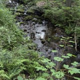 Zoar Trail, Connecticut - 2,360 Reviews, Map | AllTrails