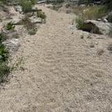 Turret Trail, Colorado - 403 Reviews, Map | AllTrails