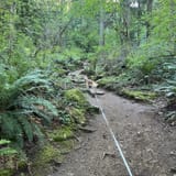 Little Si Trail, Washington - 11,581 Reviews, Map | AllTrails