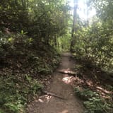 Rock Bridge Trail, Kentucky - 3,629 Reviews, Map | AllTrails
