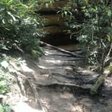 Rock Bridge Trail, Kentucky - 3,629 Reviews, Map | AllTrails