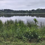 Waterfall Glen Trail, Illinois - 3,572 Reviews, Map | AllTrails