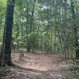 Deep Run Park Trails, Virginia - 1,306 Reviews, Map | AllTrails