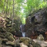 Devil's Racetrack Trail, Tennessee - 577 Reviews, Map | AllTrails