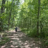Deep Run Park Trails, Virginia - 1,306 Reviews, Map | AllTrails