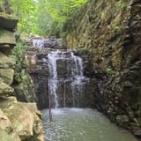 Devil's Racetrack Trail, Tennessee - 577 Reviews, Map | AllTrails
