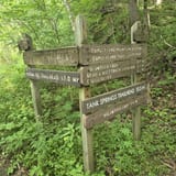 Devil's Racetrack Trail, Tennessee - 599 Reviews, Map | AllTrails