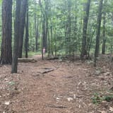 Deep Run Park Trails, Virginia - 1,306 Reviews, Map | AllTrails