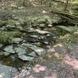 Deep Run Park Trails, Virginia - 1,306 Reviews, Map | AllTrails