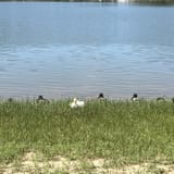 Prospect Lake, Colorado - 447 Reviews, Map | AllTrails