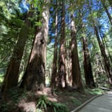 Bootjack Loop, California - 1,944 Reviews, Map | AllTrails