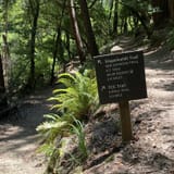 Bootjack Loop, California - 1,933 Reviews, Map | AllTrails