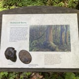 Bootjack Loop, California - 1,944 Reviews, Map | AllTrails