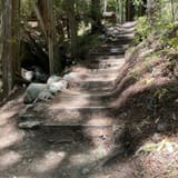 Bootjack Loop, California - 1,897 Reviews, Map | AllTrails