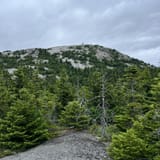 Mount Cardigan Loop Trail, New Hampshire - 2,190 Reviews, Map | AllTrails
