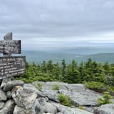 Mount Cardigan Loop Trail, New Hampshire - 2,190 Reviews, Map | AllTrails