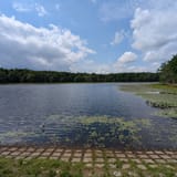 Cash Lake Loop Trail, Maryland - 1,144 Reviews, Map | AllTrails