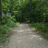 Cash Lake Loop Trail, Maryland - 1,144 Reviews, Map | AllTrails