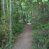Cash Lake Loop Trail, Maryland - 1,144 Reviews, Map | AllTrails