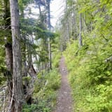 Upper Priest Lake Navigation Trail, Idaho - 251 Reviews, Map | AllTrails