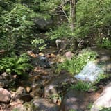 See Spring Trail, Arizona - 873 Reviews, Map | AllTrails