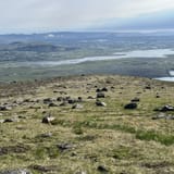 Mount Esja: Steinn - Þverfellshorn, Capital Region, Iceland - 760 ...