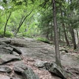 Mount Watatic and Nutting Hill via Wapack Trail, Massachusetts - 2,975 ...