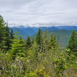 Mount Walker, Washington - 2,184 Reviews, Map | AllTrails