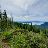Mount Walker, Washington - 2,184 Reviews, Map | AllTrails