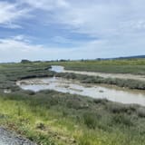 Padilla Bay Trail, Washington - 669 Reviews, Map | AllTrails
