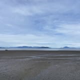 Padilla Bay Trail, Washington - 669 Reviews, Map | AllTrails