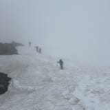 Muir Snowfield Ski Tour, Washington - 1,607 Reviews, Map | AllTrails