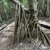 Okolehao Viewpoint via Okolehao Trail, Kaua'i, Hawaii - 2,780 Reviews ...