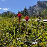 East Rosebud Trail to Elk Lake, Montana - 558 Reviews, Map | AllTrails