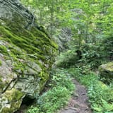 Fiery Gizzard Loop, Tennessee - 1,269 Reviews, Map | AllTrails