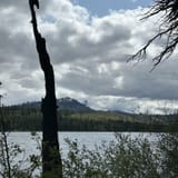 Suttle Lake Loop, Oregon - 857 Reviews, Map | AllTrails
