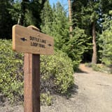 Suttle Lake Loop, Oregon - 857 Reviews, Map | AllTrails