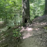 Natural Bridge Park Loop, Alabama - 302 Reviews, Map | AllTrails