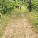Appalachian Trail, Hosack Run, and Locust Gap Loop, Pennsylvania - 479 ...