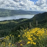Cape Horn Loop Trail, Washington - 4,604 Reviews, Map | AllTrails