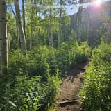 Willow Lake Trail, Utah - 4,050 Reviews, Map | AllTrails