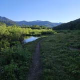 Willow Lake Trail, Utah - 4,050 Reviews, Map | AllTrails
