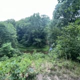 Martell Forest Loop, Indiana - 545 Reviews, Map | AllTrails