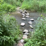 Martell Forest Loop, Indiana - 574 Reviews, Map | AllTrails